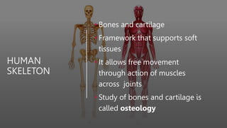 SUPPORT AND MOVEMENT.pptx part#1 | PPTX