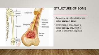 SUPPORT AND MOVEMENT.pptx part#1 | PPTX