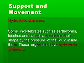 Support and movement[1] | PPT