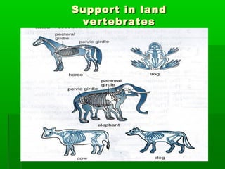 Support and movement[1] | PPT