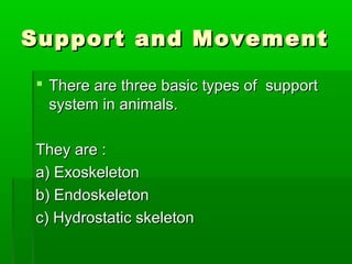 Support and movement[1] | PPT