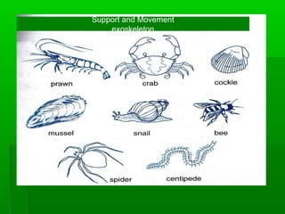 Support and movement[1] | PPT