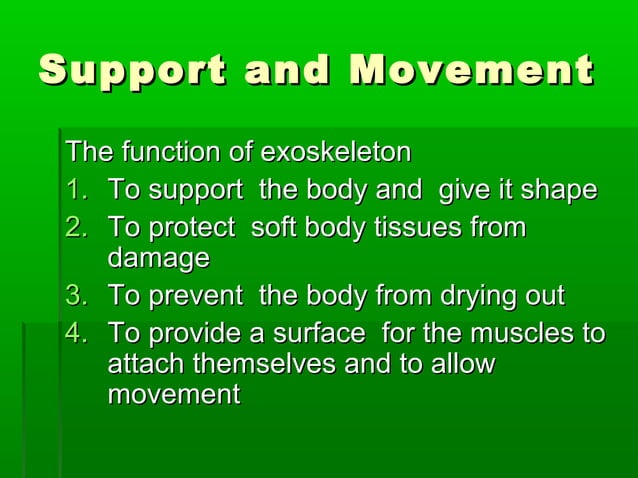 Support and movement[1] | PPT