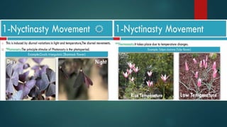 Support and movement (chap 16) part 1 | PPTX