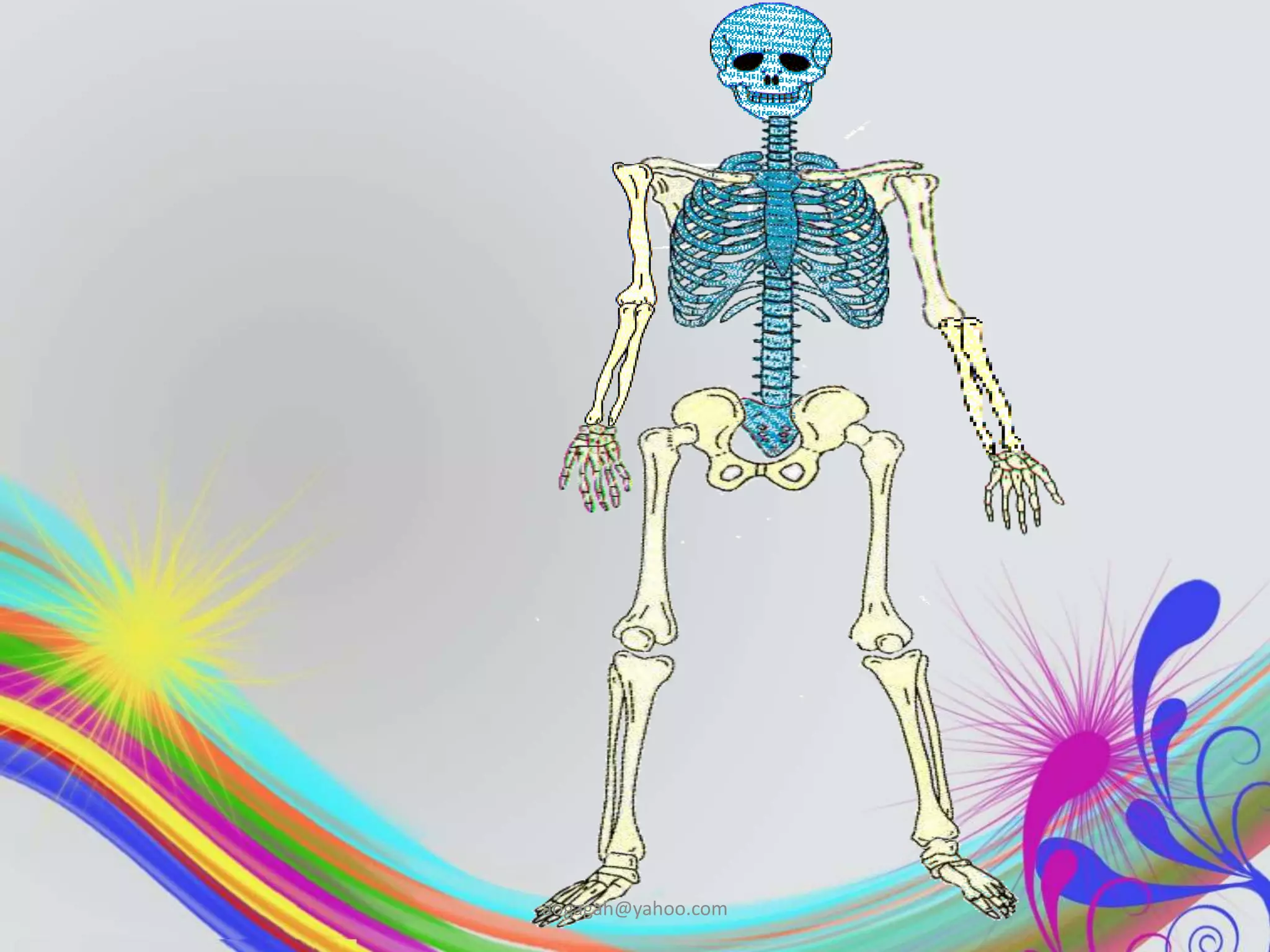 Support and movement in plants and animals | PPTX