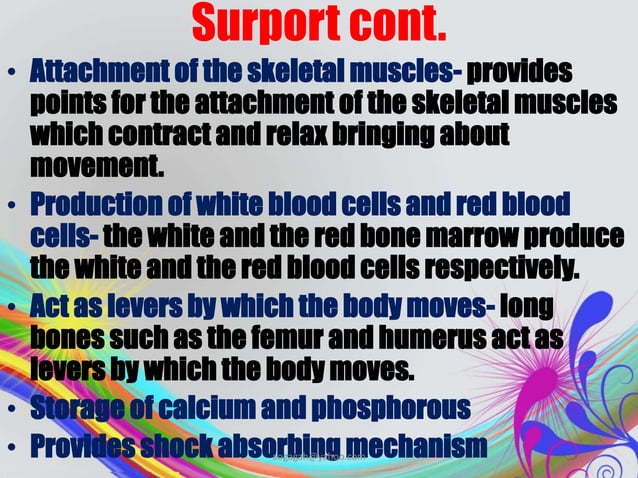 Support and movement in plants and animals | PPTX