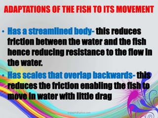 Support and movement in plants and animals | PPTX