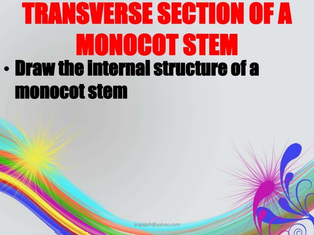 Support and movement in plants and animals | PPTX