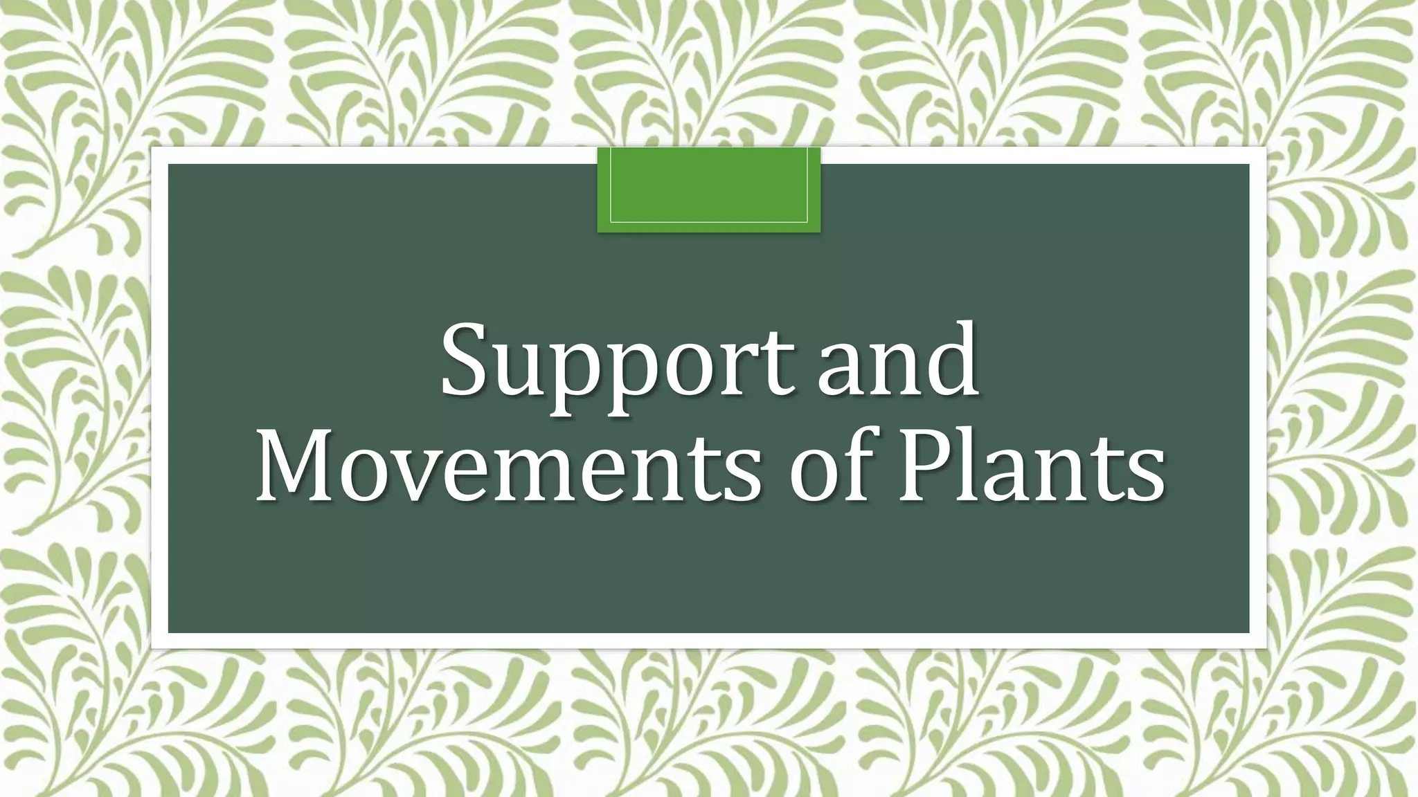 Support and Movements of Plants | PPTX
