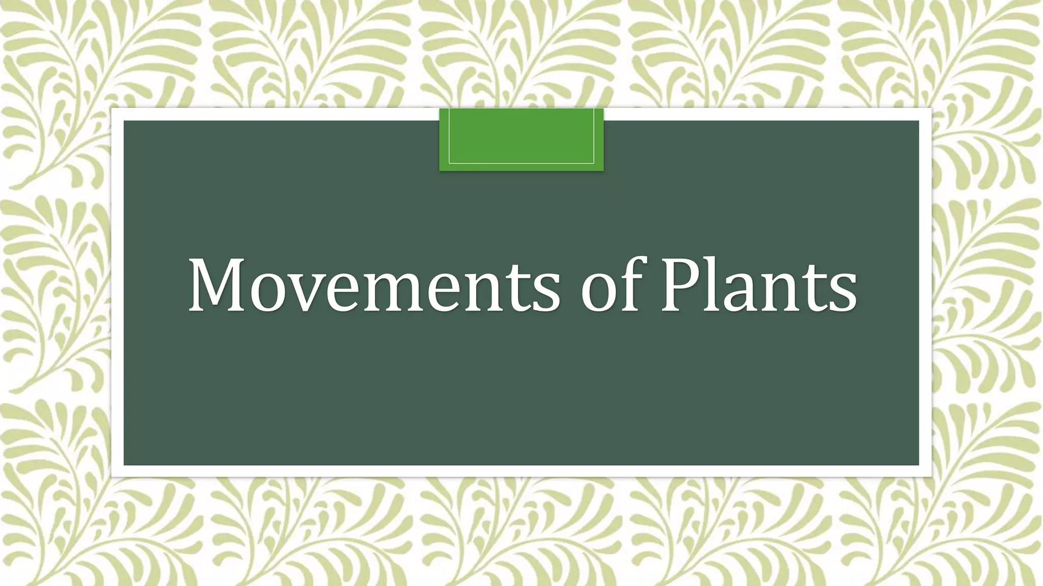 Support and Movements of Plants | PPTX