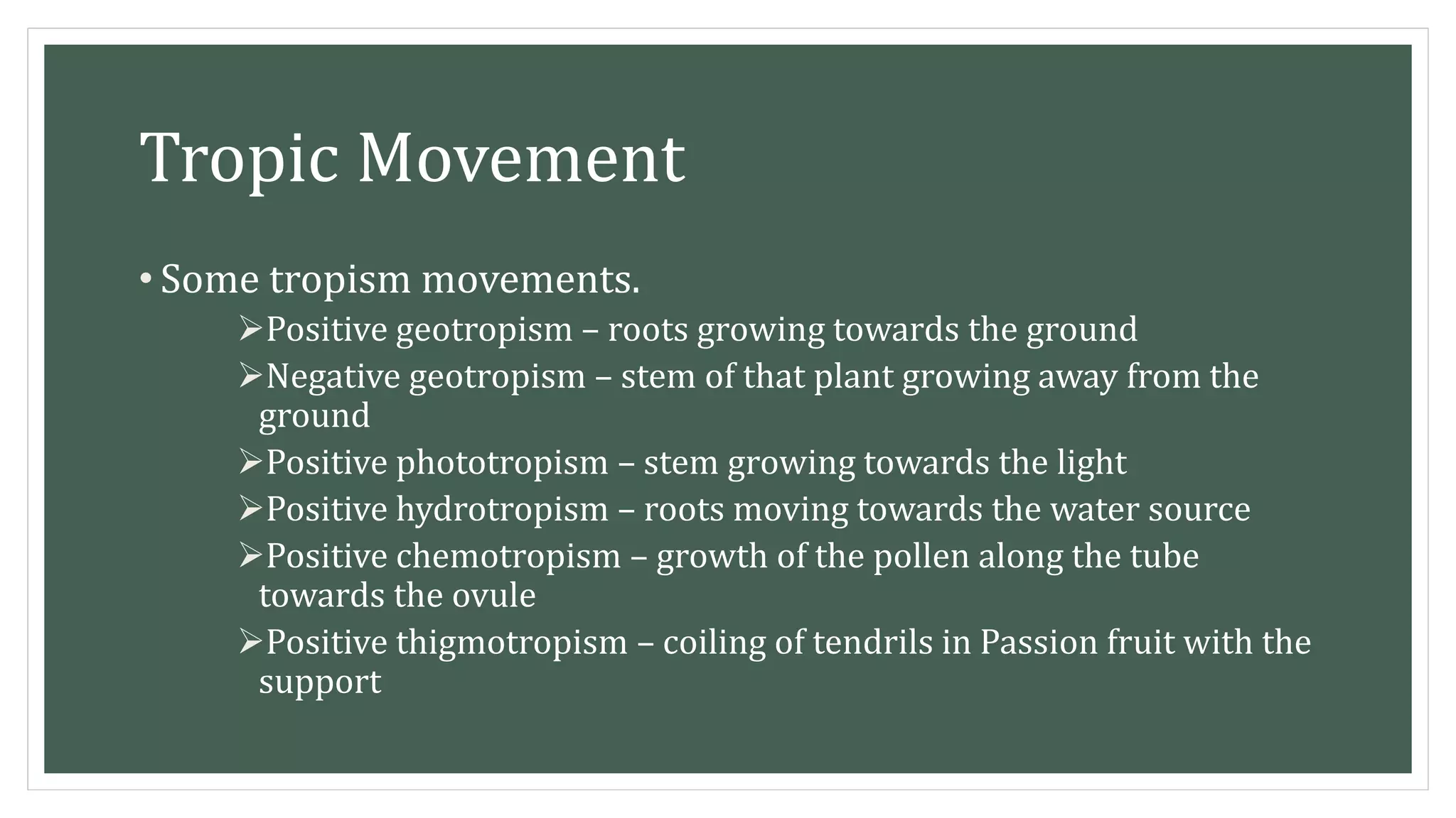 Support and Movements of Plants | PPTX