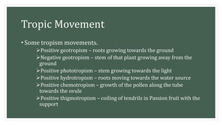 Support and Movements of Plants | PPTX | Gardening | Home & Garden