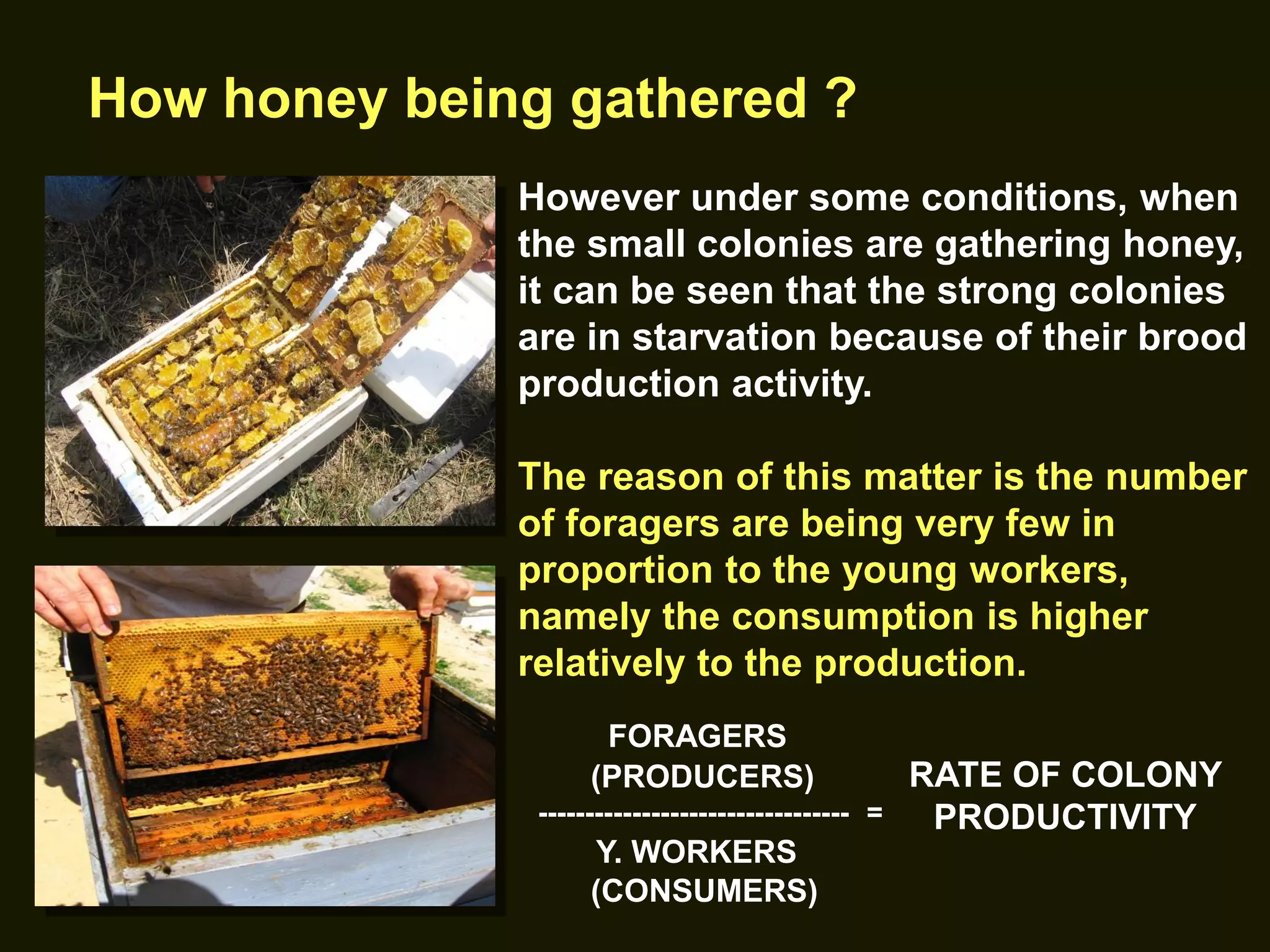 Supported Bee Colony Management System | PPT