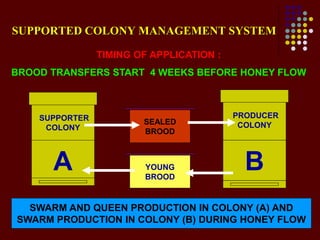 Supported Bee Colony Management System | PPT