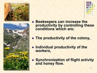 Supported Bee Colony Management System | PPT