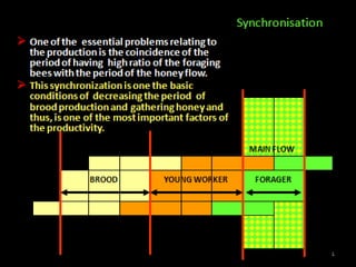 Supported Bee Colony Management System | PPT