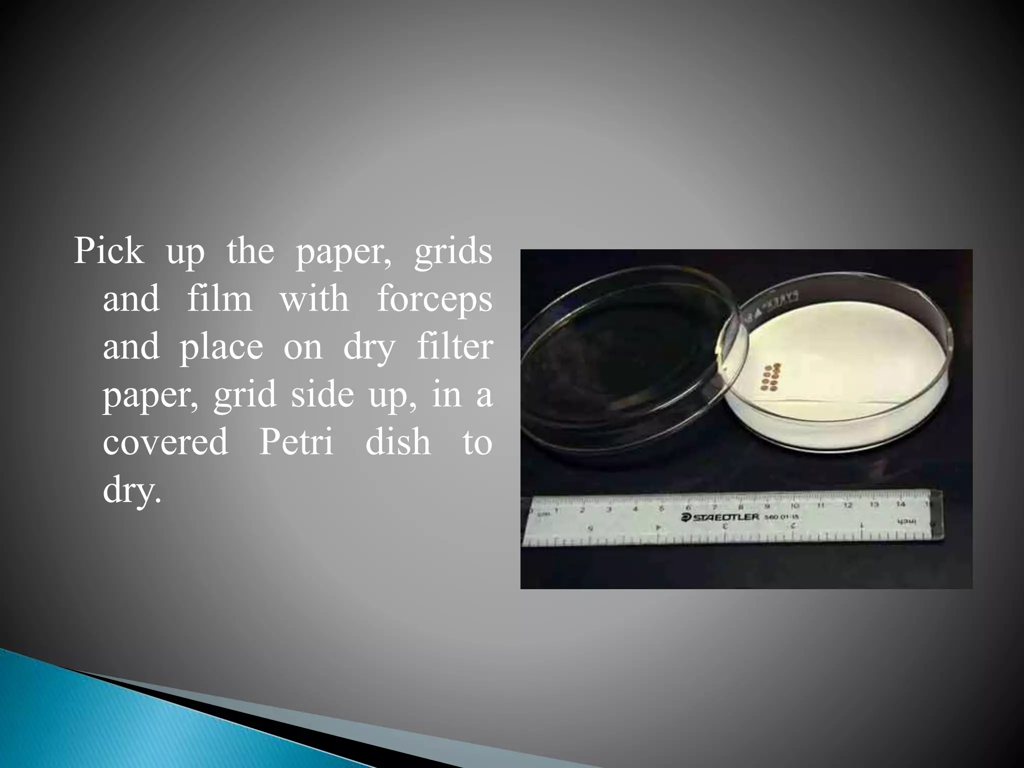 Support Films for Electron Microscopy Grids | PPSX