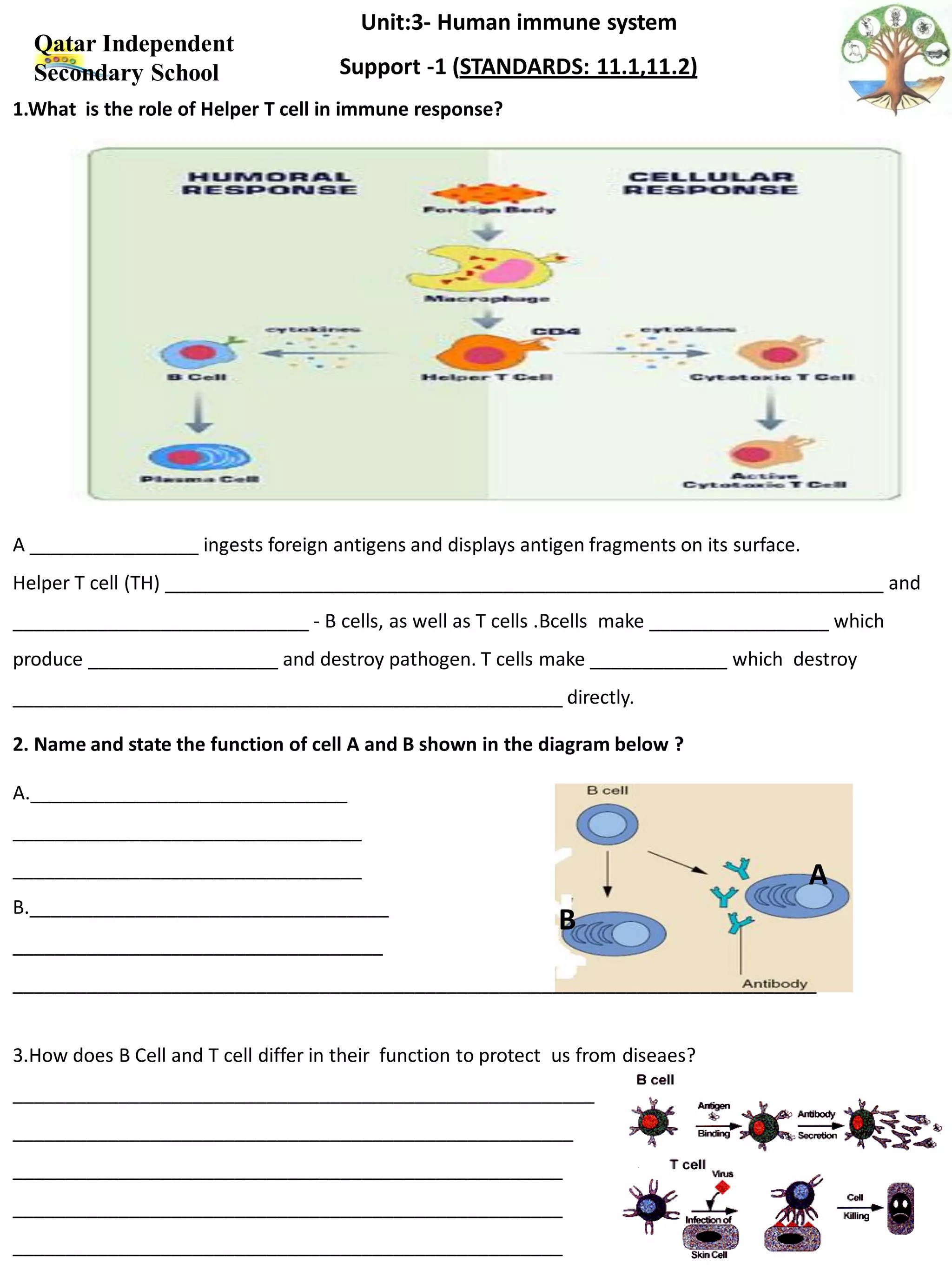 Support Worksheets | PDF