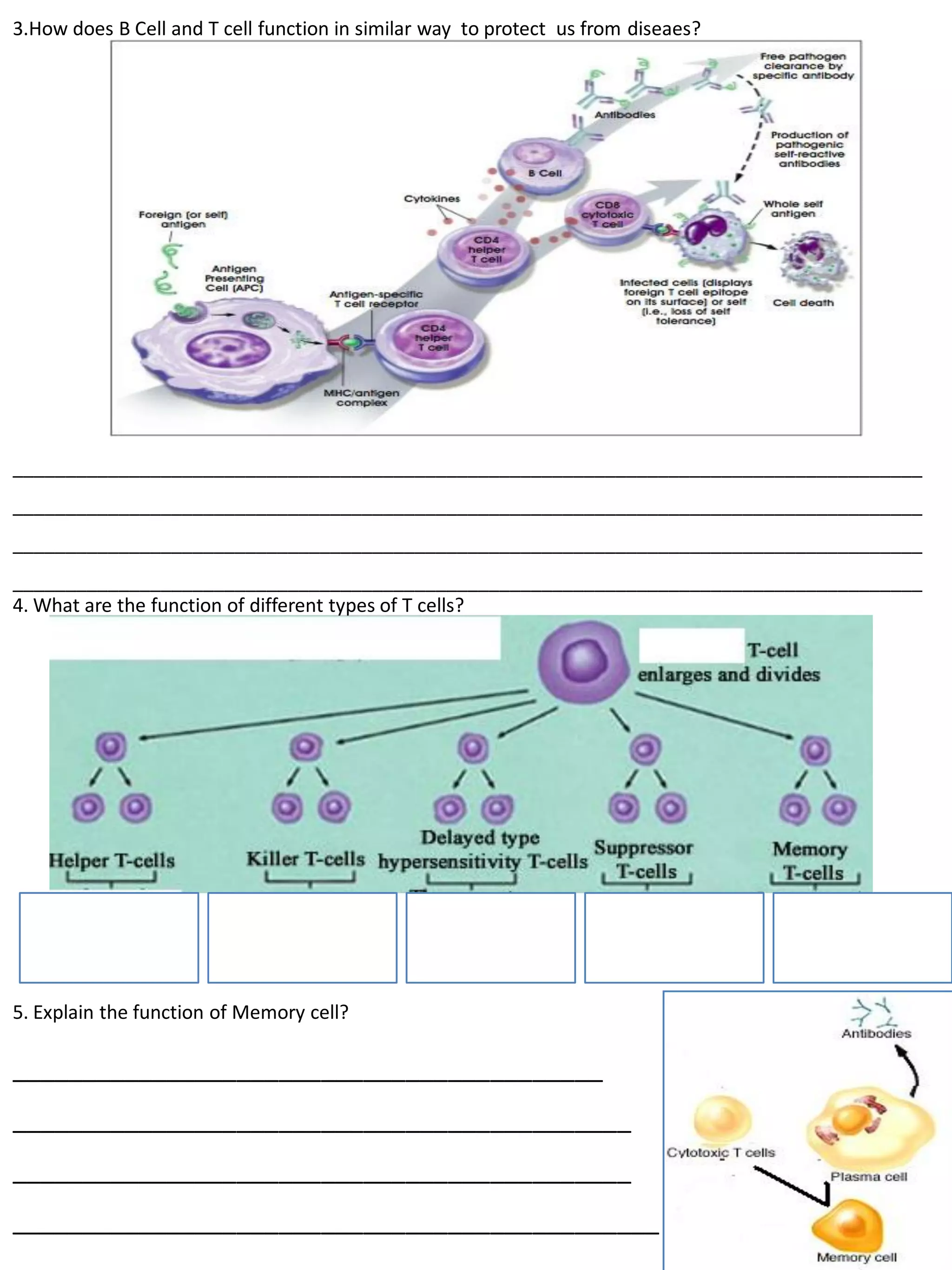 Support Worksheets | PDF