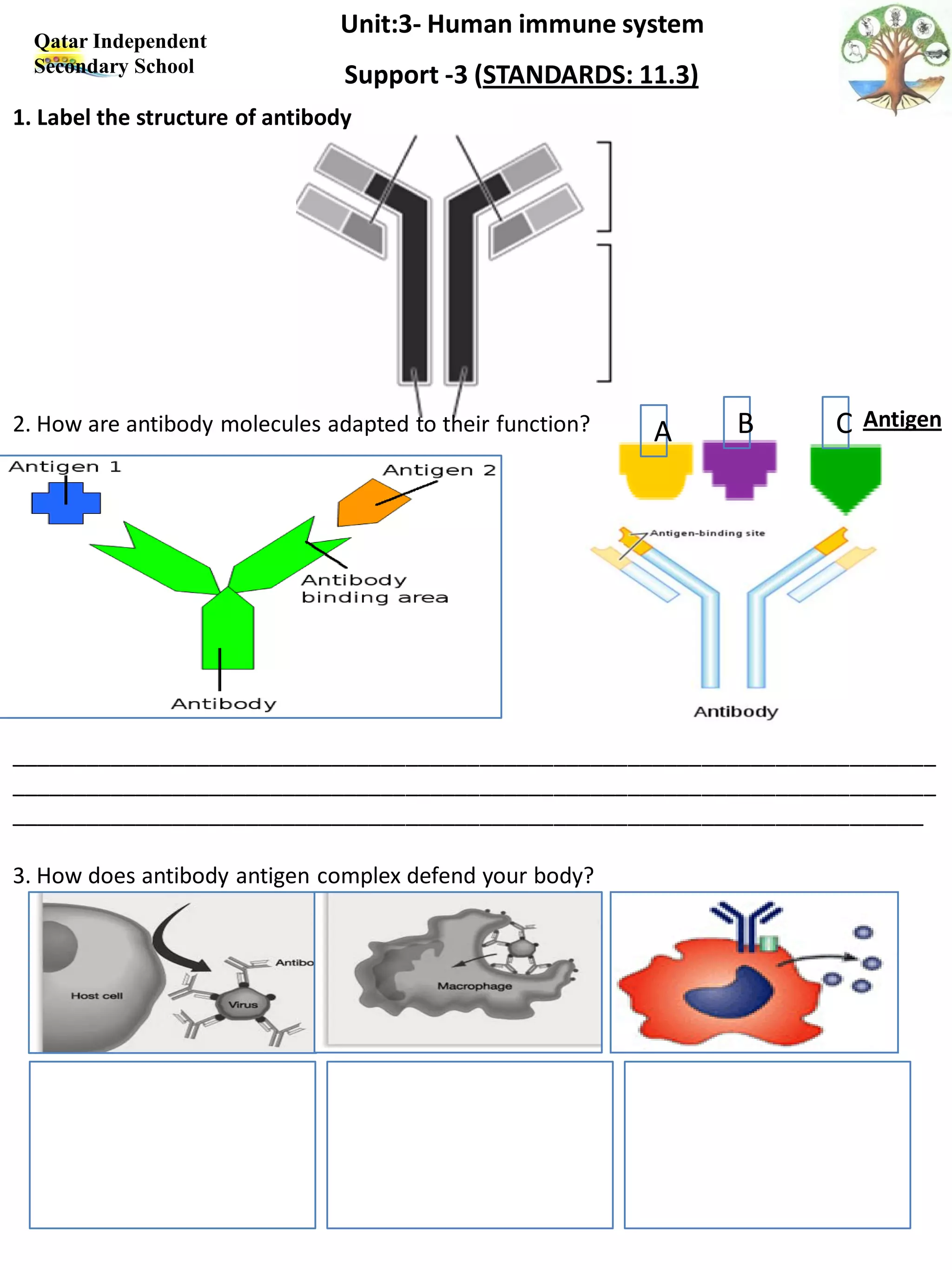 Support Worksheets | PDF