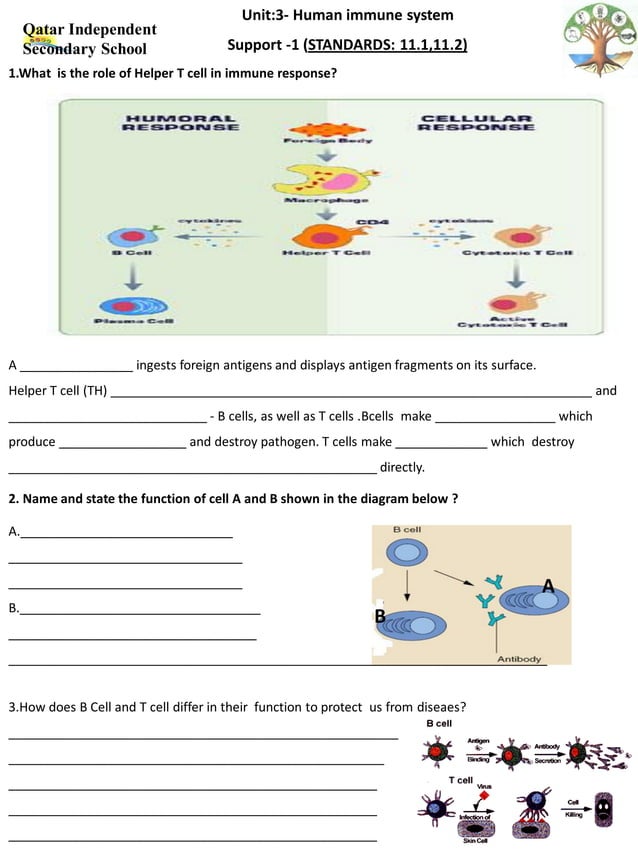 Support Worksheets | PDF