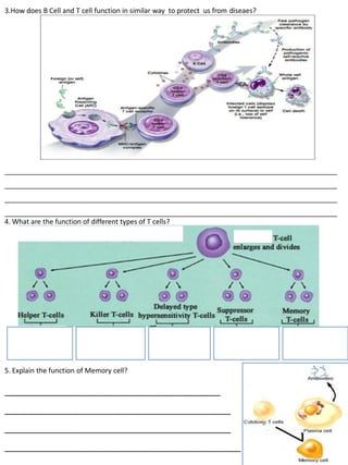 Support Worksheets | PDF