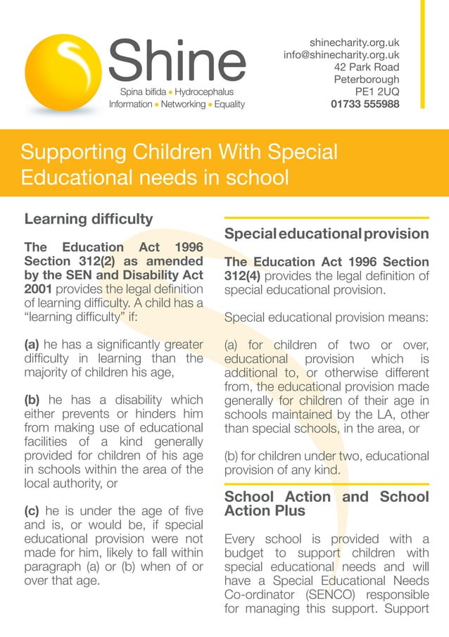 Supporting children with special needs | PDF