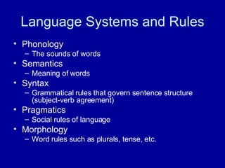 Supporting Language and Literacy | PPT