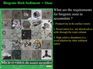 Seafloor Sediment workshop ppt | PPT