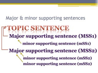 Supporting concluding sentences | PPTX