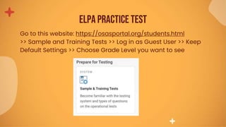 Supporting Newcomer Multilingual Learners | PPT