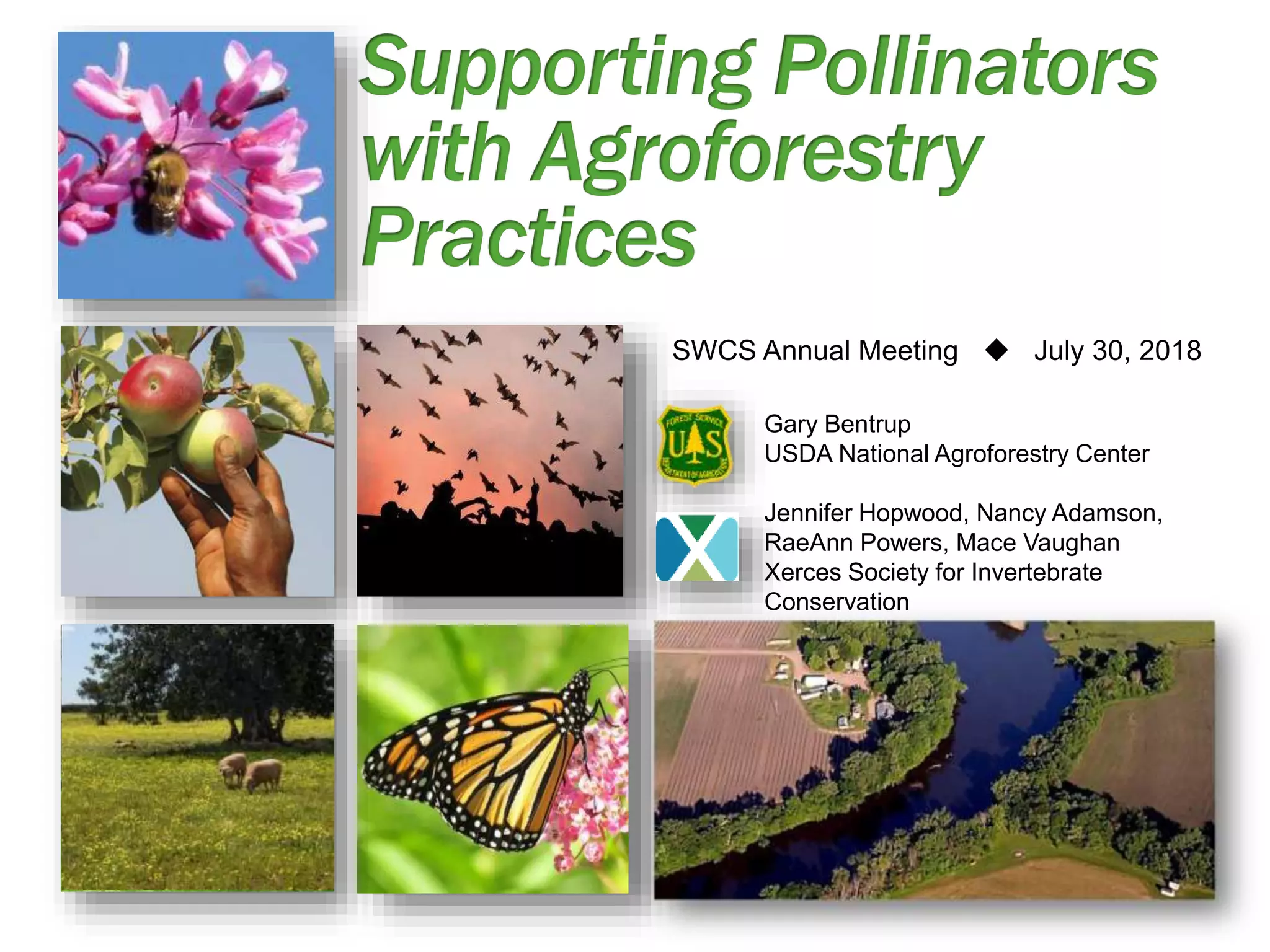Supporting pollinators with agroforestry practices | PPT