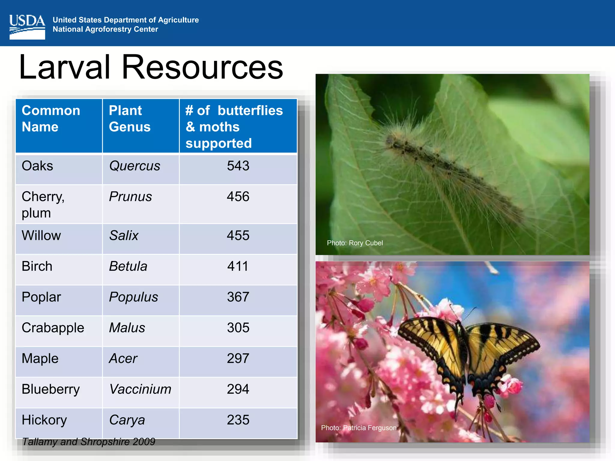 Supporting pollinators with agroforestry practices | PPT