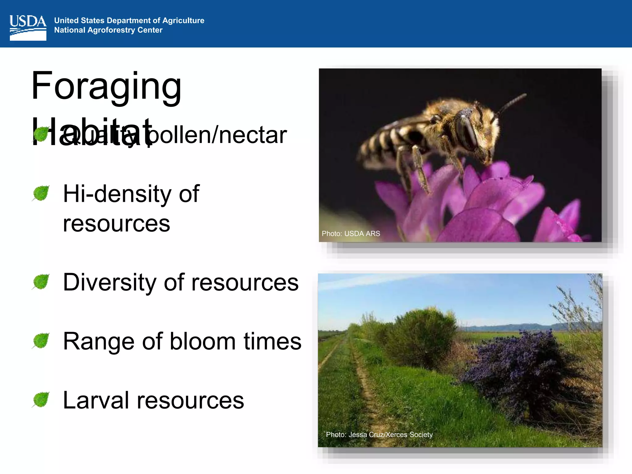 Supporting pollinators with agroforestry practices | PPT