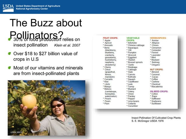 Supporting pollinators with agroforestry practices | PPT