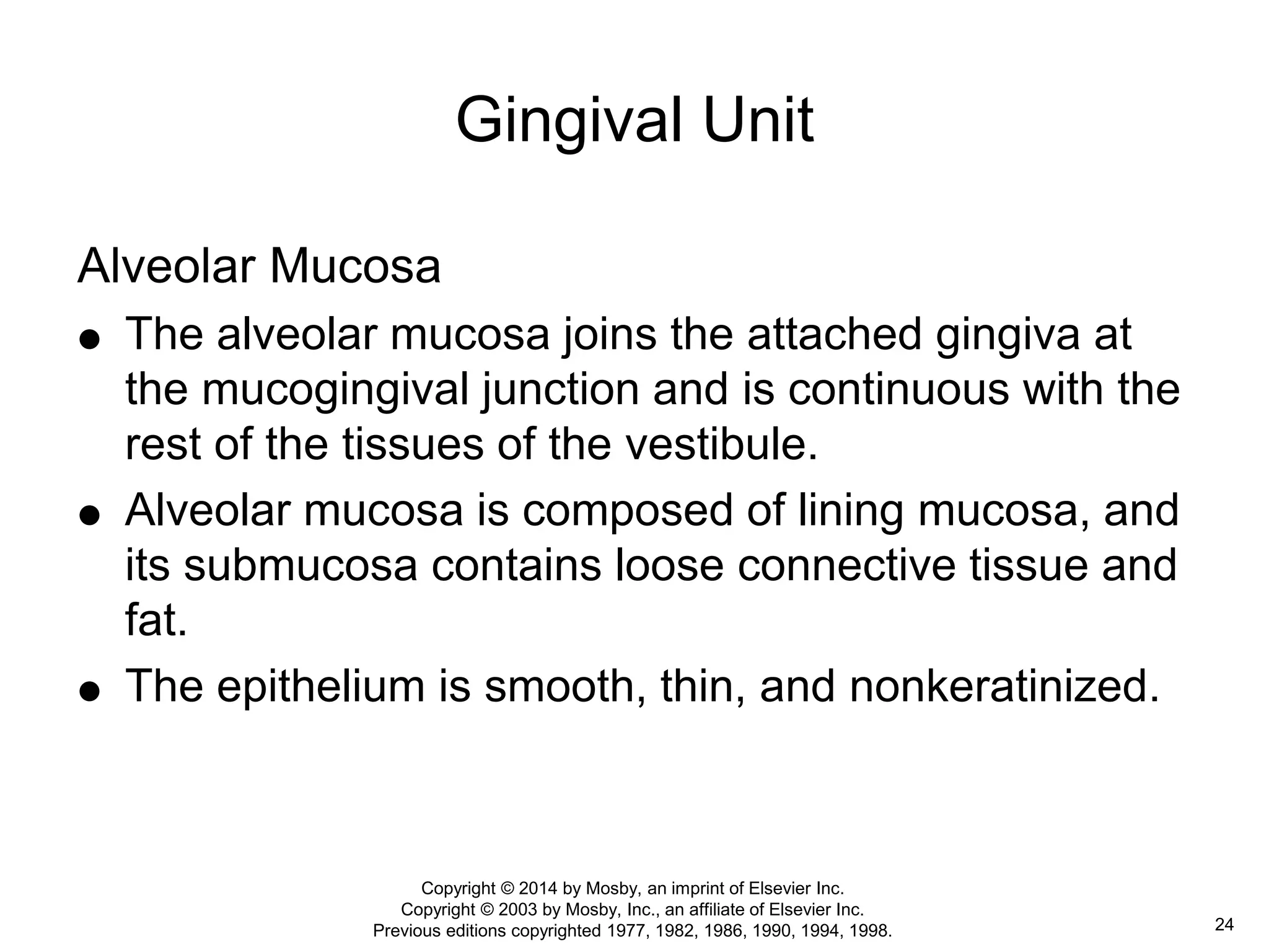 Periodontium: Supporting Structures | PPTX