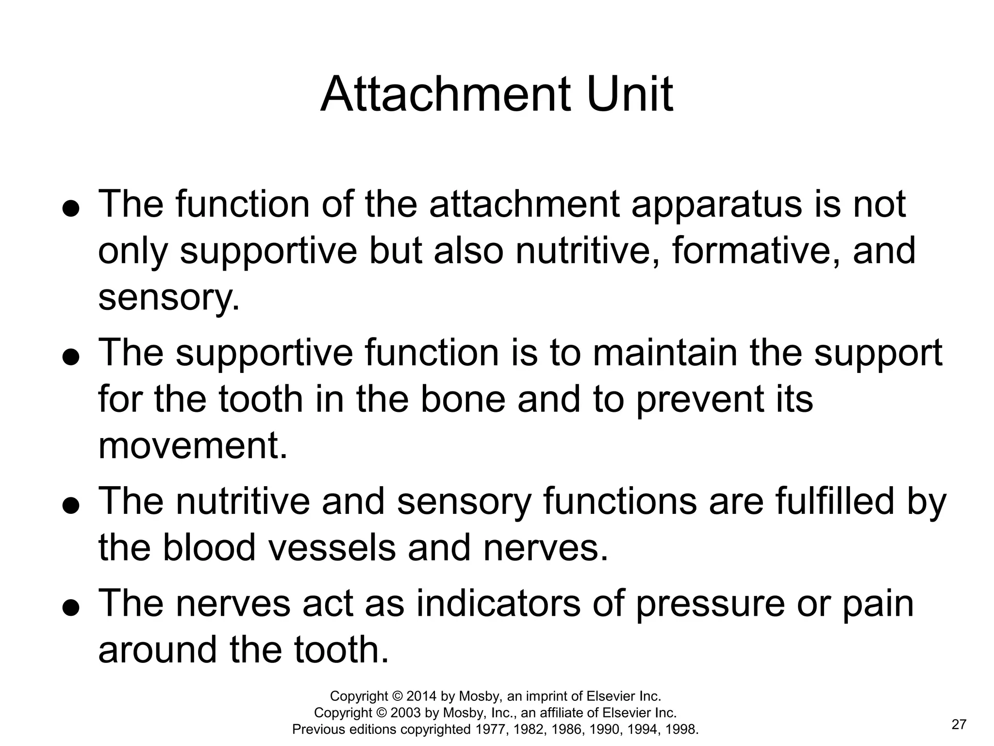 Periodontium: Supporting Structures | PPTX