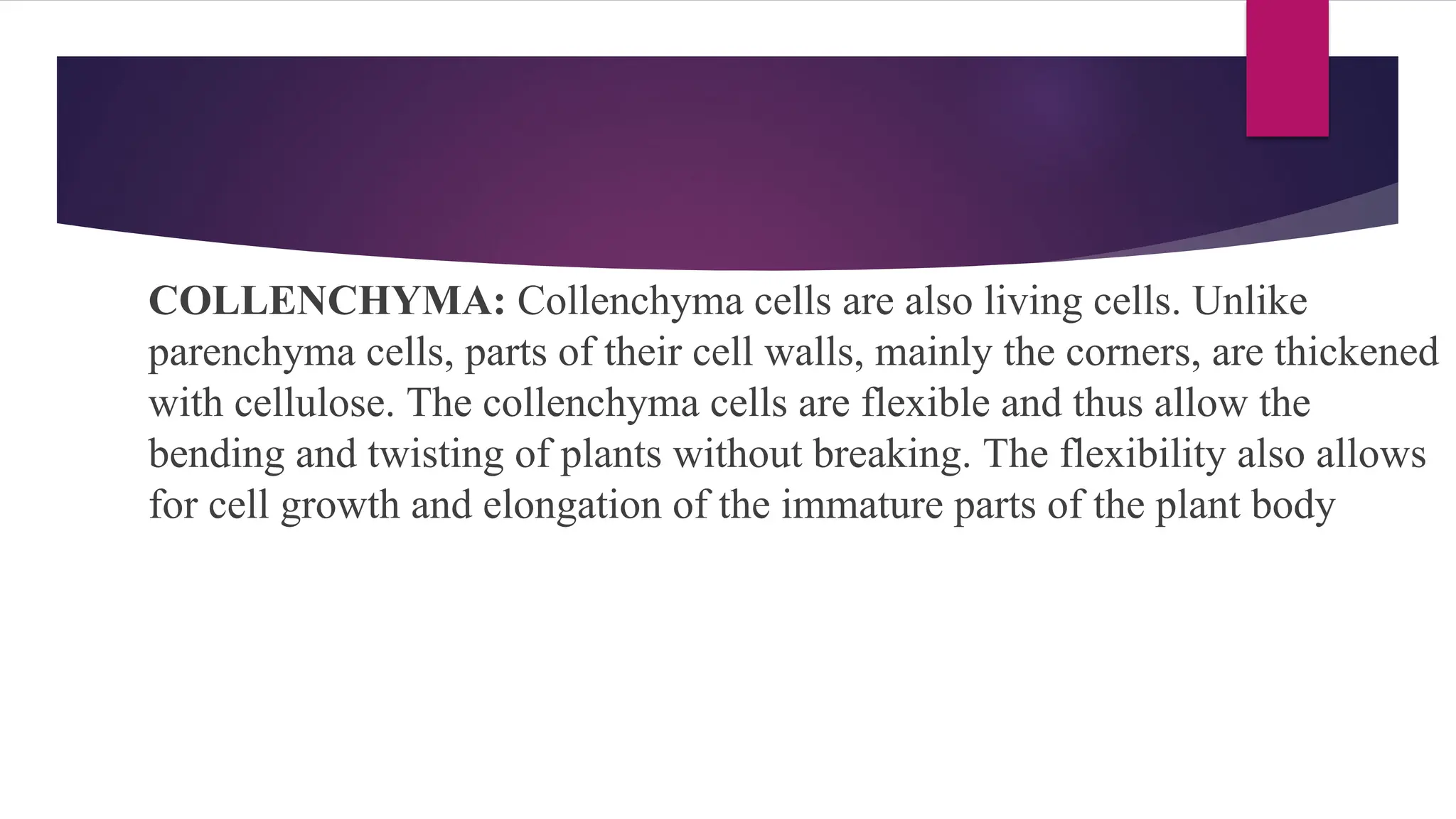 grade 11 first term SUPPORTING TISSUES IN PLANTS.pdf
