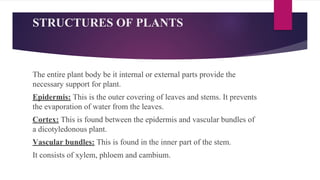 grade 11 first term SUPPORTING TISSUES IN PLANTS.pdf