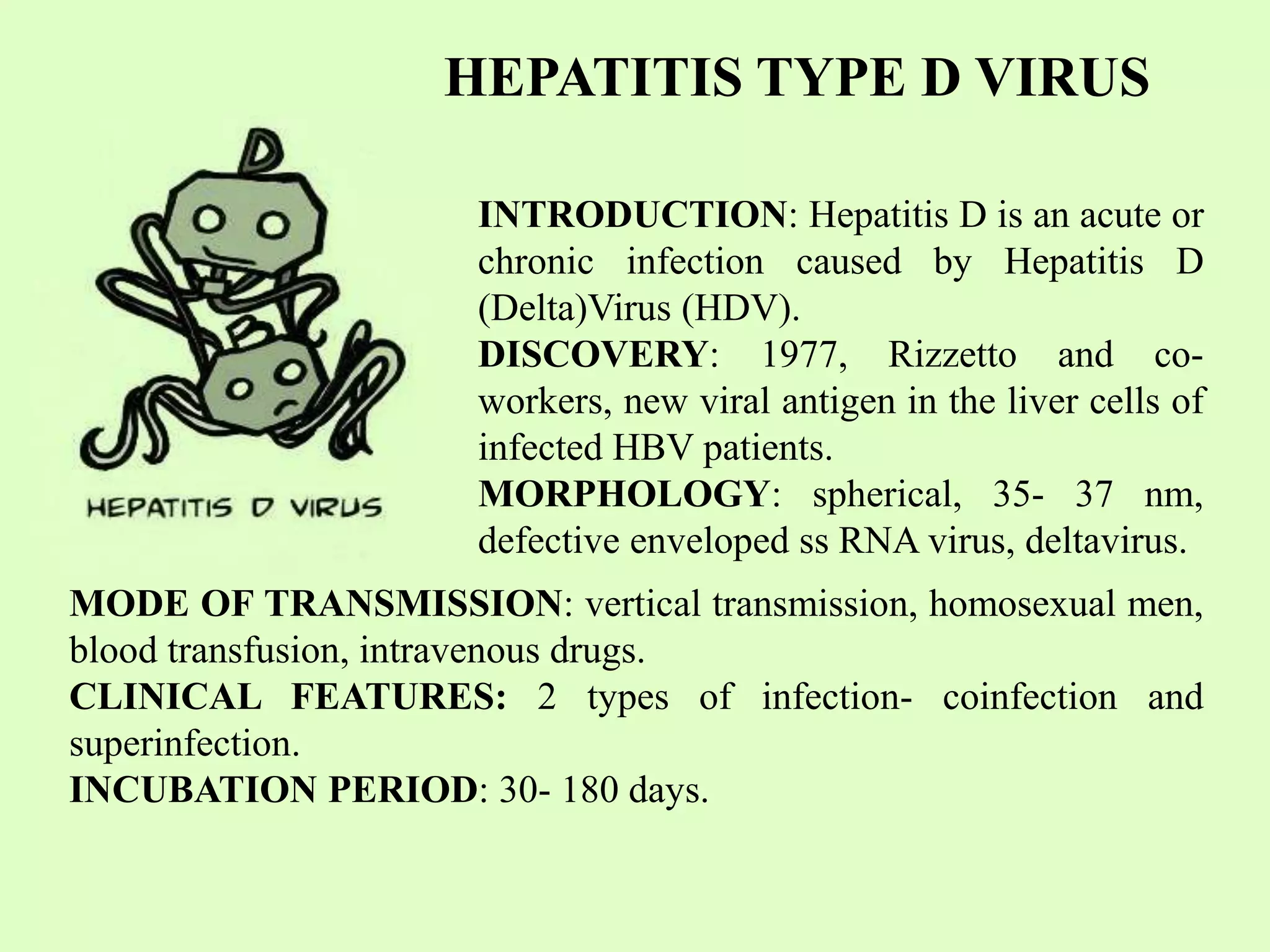 viral hepatitis- types, symptoms, risk factors | PPTX | Infectious ...