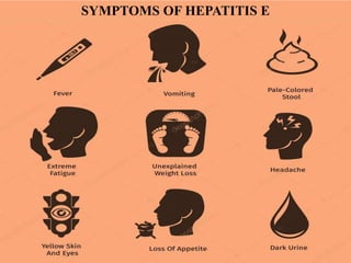 Hepatitis E Symptoms