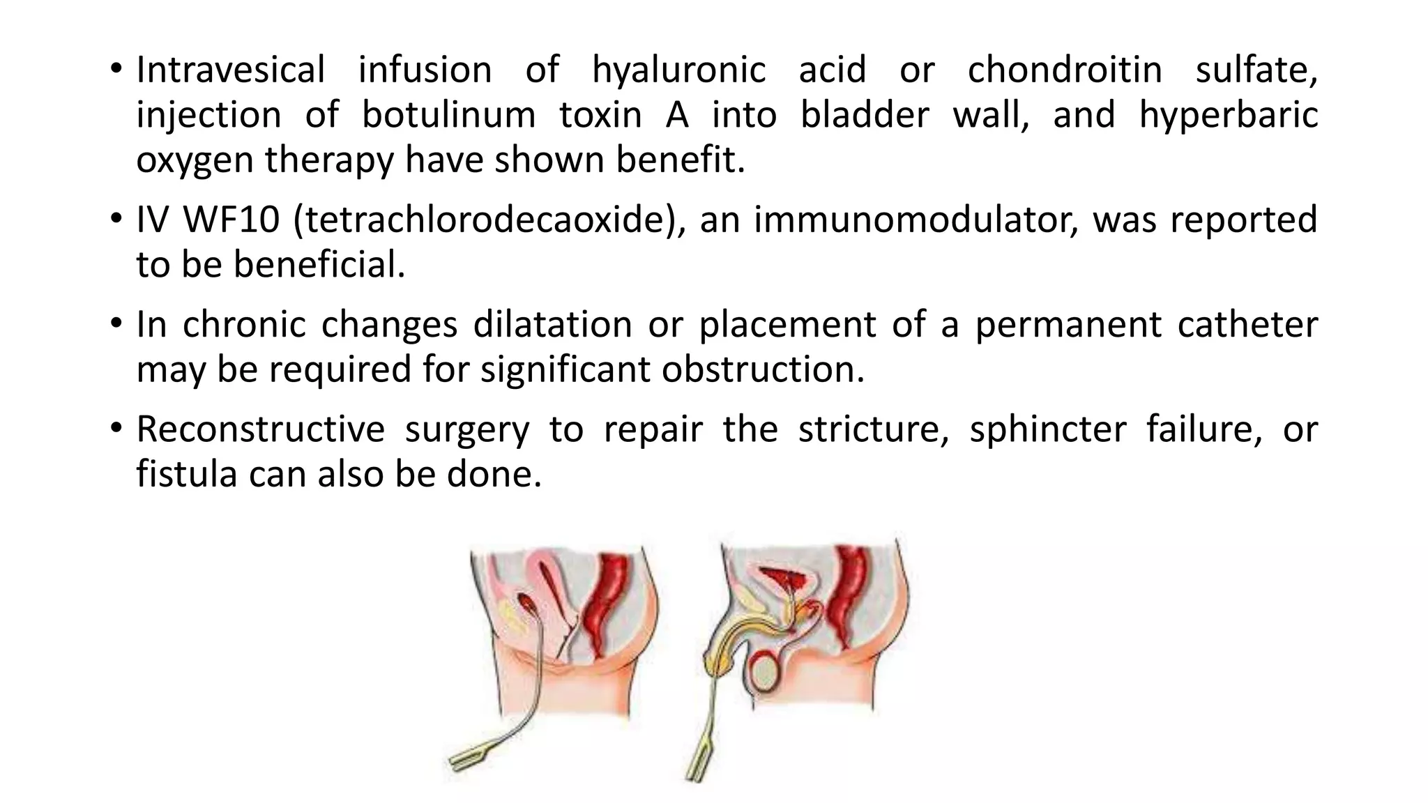 Supportive care and quality of life | PPTX