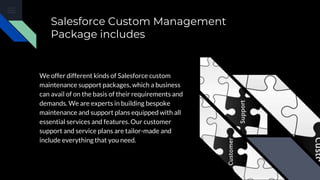 Salesforce Support & Maintenance Presentation | PPTX