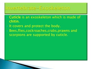 Supportshahrul | PPT