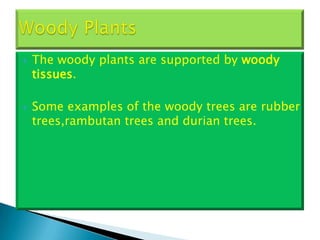 Supportshahrul | PPT