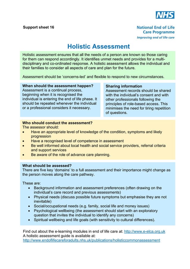 Support Sheet 16: Holistic Assessment | PDF