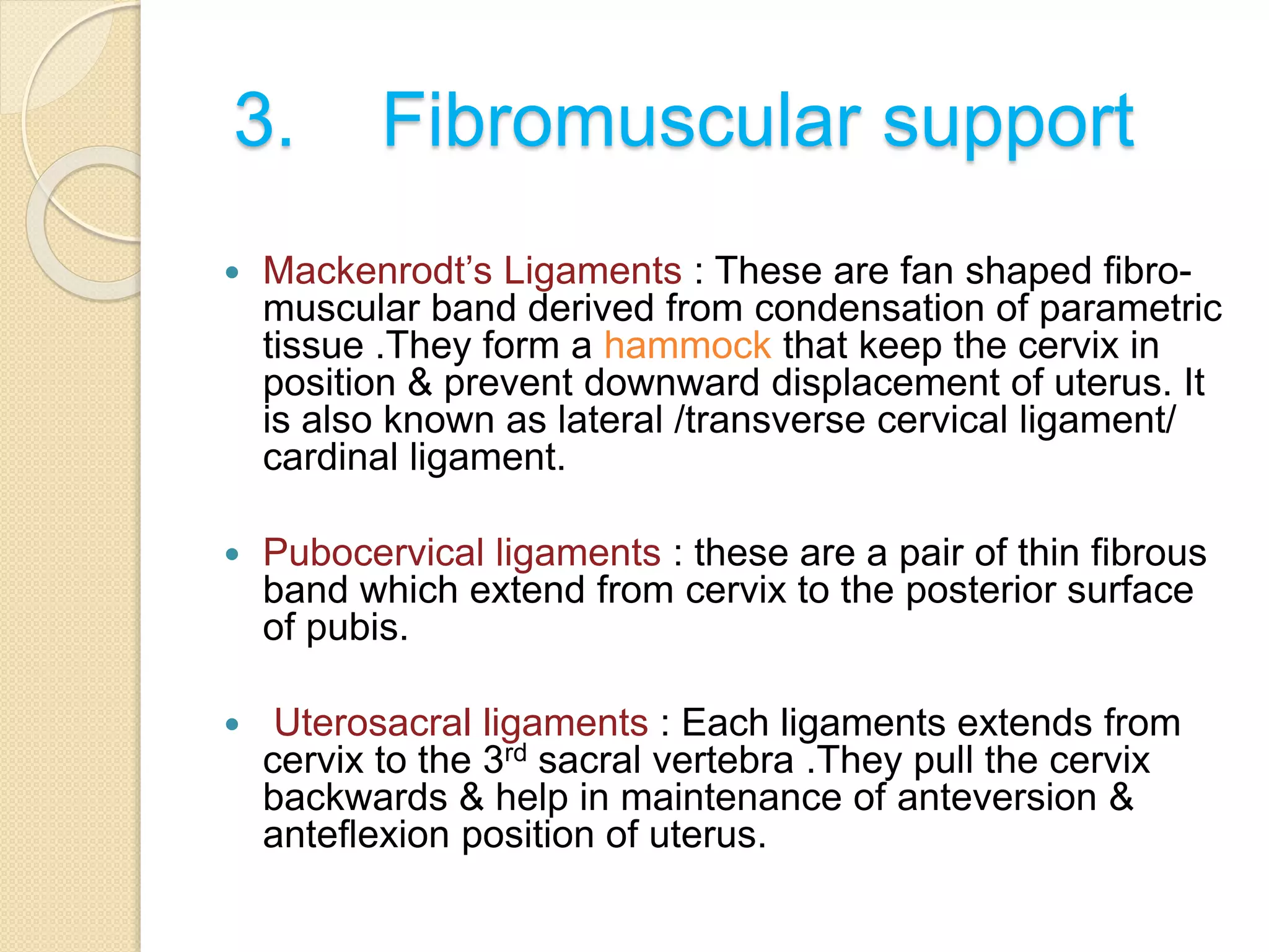 Supports of Uterus | PPTX