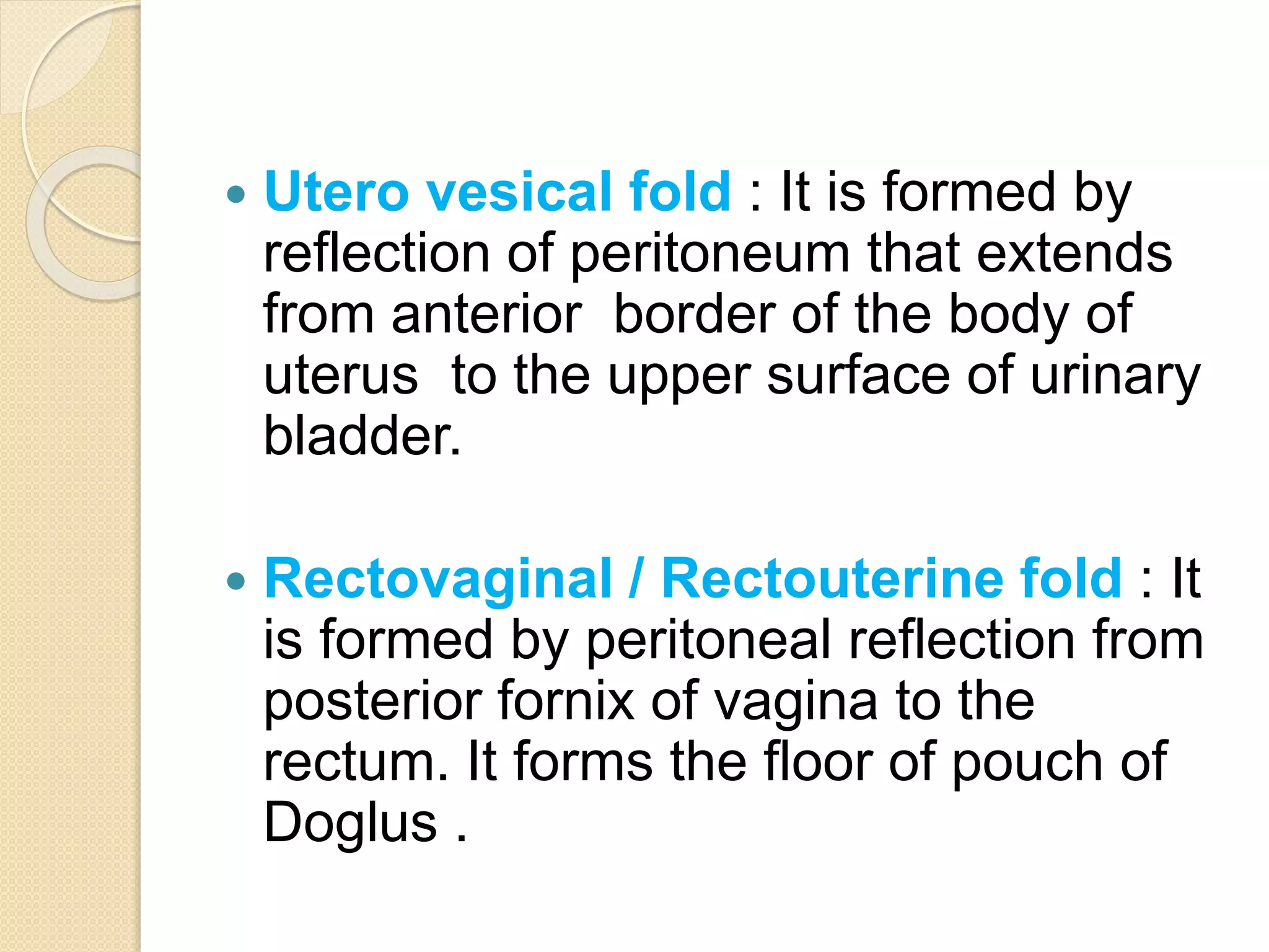 Supports of Uterus | PPTX