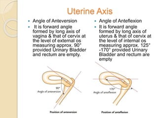 Supports of Uterus | PPTX