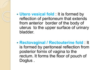 Supports of Uterus | PPTX
